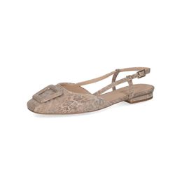 Caprice Ballerinas in Beige | Gr.: 37-dot-5