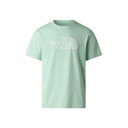 The North Face Evolution Half Dome Regular T-Shirt in Mint | Gr.: XXL