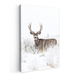 OnlyWow Leinwand Bilder Hellbraun | Gr.: 60 x 90 cm