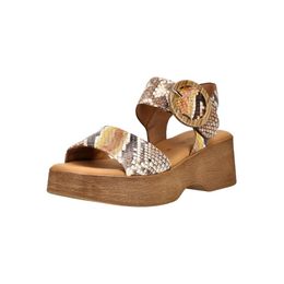 Gabor Sandalen in Multi | Gr.: 41
