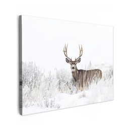 MuchoWow Leinwand Bilder Hellbraun | Gr.: 80x60 cm