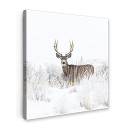 OnlyWow Leinwand Bilder Hellbraun | Gr.: 50 x 50 cm