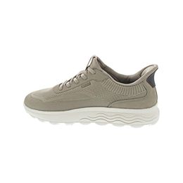Geox Spherica Plus Slipper Beige | Gr.: 46