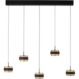 NEUHAUS PURE LED Pendelleuchte "PURE Falling Rings", schwarz pearl, diamond, 5, H: 80cm, 1 Stk., Leuchten, Comfort Lift, CCT, dimmbar, Fernbedienung, Timer, LED Pendelleuchte