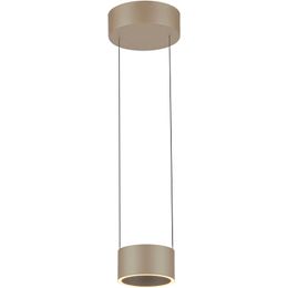 NEUHAUS PURE LED Pendelleuchte "PURE Clipse", bronzefarben, 2, &Oslash; 15cm H: 40cm, 1 Stk., Leuchten, Comfort Lift, CCT, dimmbar &uuml;ber Fernbedienung, LED Pendelleuchte