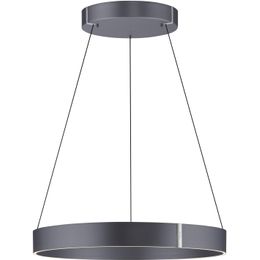 NEUHAUS PURE LED Pendelleuchte "PURE E-Clipse", 2, &Oslash; 70cm H: 40cm, 1 Stk.mystic grau, Leuchten, e-LIFT-Funktion, CCT, dimmbar &uuml;ber Fernbed&iacute;enung