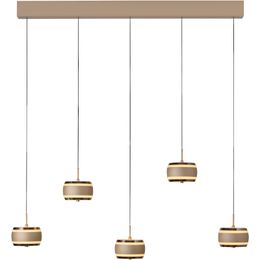 NEUHAUS PURE LED Pendelleuchte "PURE Falling Rings", bronzefarben, schwarz chrome, 5, H: 80cm, 1 Stk., Leuchten, Comfort Lift, CCT, dimmbar, Fernbedienung, Timer, LED Pendelleuchte