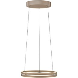 NEUHAUS PURE LED Pendelleuchte "PURE E-Loop", bronzefarben, 2, &Oslash; 50cm H: 40cm, 1 Stk., Leuchten, e-LIFT Funktion, CCT, dimmbar &uuml;ber Fernbedienung, LED Pendelleuchte