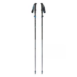 Black Diamond Distance FLZ Poles