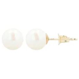 Adelia&acute;s Paar Ohrh&auml;nger ADELIA ́S "Damen Ohrringe &ndash; Ohrstecker aus 333 Gold mit Perle", Damen, Gr. Damen, gold, Ohrringe, Ideal als Geschenk &ndash; dezent und elegant