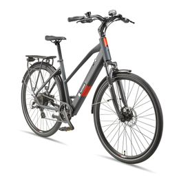 Telefunken Trekking E-Bike Elektrofahrrad 28 Zoll 8-Gang Kettenschaltung Heckmotor 250W 417,6Wh Akku Pedelec XT490 Damen