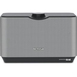 Technisat AUDIOMASTER MR2 60 W Wireless-Stereolautsprecher mit Internetradio