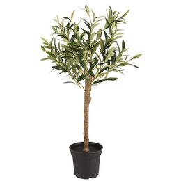 IB Laursen Olivenbaum in Topf H: 75, &Oslash; 30 cm skandinavische Deko Online Shop
