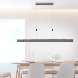 NEUHAUS PURE LED Pendelleuchte "PURE Moto", 3, H: 110cm, 1 Stk., schwarz, Leuchten, e-SLIDE Funktion, CCT, dimmbar, Fernbedienung