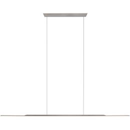 NEUHAUS PURE LED Pendelleuchte "PURE Surface", platinfarben, 1, H: 100cm, 1 Stk., Leuchten, Dimmf&auml;hig &uuml;ber separaten Dimmer, h&ouml;henverstellbar, LED Pendelleuchte