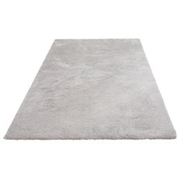 Hochflor-Teppich OTTO HOME, B:300cm H:25mm L:400cm, silber, Kunstfaser, Teppiche, "Microfaser Teppich Magong, besonders weich, sehr feiner Flor",