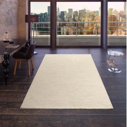 Hochflor-Teppich OTTO HOME, B:300cm H:25mm L:400cm, beige, Kunstfaser, Teppiche, "Microfaser Teppich Magong, besonders weich, sehr feiner Flor", uni,