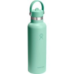 Hydro Flask 21 OZ STANDARD FLEX STRAW Isolierflasche - Gr&ouml;&szlig;e Einheitsgr&ouml;&szlig;e - gr&uuml;n