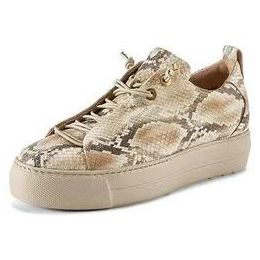 Sneaker Paul Green beige, 38,5