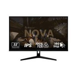 Arozzi Nova 32T2K180, Gaming-Monitor 80 cm (31.5 Zoll), schwarz, QHD, IPS, HDMI, DP, Lautsprecher, 180Hz Panel