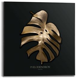 Poster Reinders "Monstera Blatt", gold (farbe bild(er): gold), B:50cm H:50cm T:1,6cm, MDF, Bilder, Poster