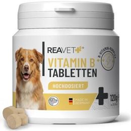 REAVET Vitamin B Tabletten 120Stk