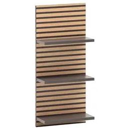 Schildmeyer Tchibo - Regal &raquo;Katta&laquo; - 30,5x17,5x70cm - anthrazit - Holz