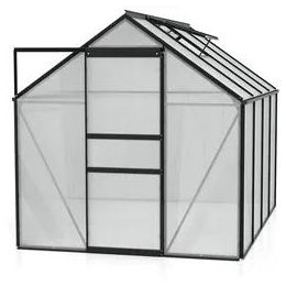 Vitavia Einsteiger-Gew&auml;chshaus inkl. Fundamentrahmen - 195x257x197cm - schwarz - Aluminium / Stahl / Kunststoff