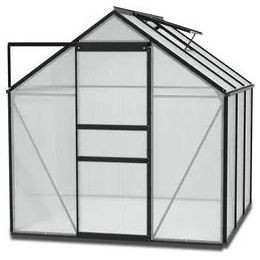 Vitavia Einsteiger-Gew&auml;chshaus inkl. Fundamentrahmen - 195x195x197cm - schwarz - Aluminium / Stahl / Kunststoff