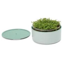 Tchibo - Anzucht-Set &raquo;Microgreens&laquo; - grau