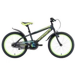 Jugendfahrrad Bikestar "Urban Jungle" Gr. 28, schwarz, Fahrr&auml;der, Kinder, 28cm, 20 Zoll (50,80cm)