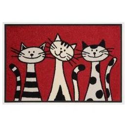 Fu&szlig;matte "Three Cats" Gr. 60, rot (rot, beige), B:40cm H:9mm L:60cm, Kunstfaser, wash+dry BY KLEEN-TEX, Teppiche, Fu&szlig;matte, Schmutzfangmatte, Motiv Katzen, rutschhemmend, waschbar