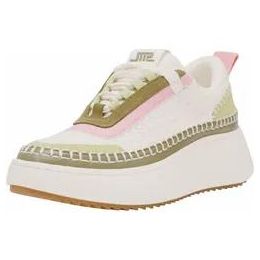 Plateausneaker Steve Madden "Steve Madden Sneaker Lederimitat/Textil", Damen, Gr. 38, wei&szlig;, gr&uuml;n, Lederimitat, Textil, Schuhe Plateausneaker