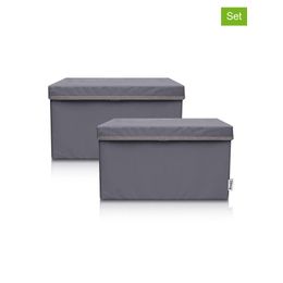 Lifeney 2er-Set: Aufbewahrungsboxen in Anthrazit - (B)37 x (H)21 x (T)25 cm - 60% | Kisten-koerbe