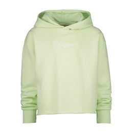 Raizzed Hoodie "Wajima" in Gr&uuml;n - 60% | Gr&ouml;&szlig;e 110 | Kinder-sweatshirts-jacken