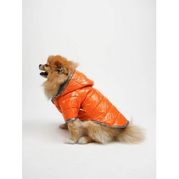 Paws&Whiskers Hundehoodie in Orange - 57% | Gr&ouml;&szlig;e S | Tierbedarf-hunde