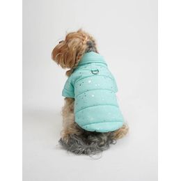 Paws&Whiskers Hundehoodie in T&uuml;rkis - 70% | Gr&ouml;&szlig;e S | Tierbedarf-hunde