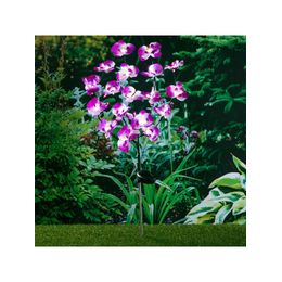 Garden Hero LED-Solar-Gartenstecker in Violett - (H)75 cm - 32% | Aussenbeleuchtung