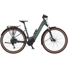 FISCHER BIKE Fischer Fahrrad Unisex FISCHER Fahrrad &raquo;TERRA T100 43 711&laquo; 10 Gang Shimano Schaltwerk Deore Schaltwerk Mittelmotor Pedelec, Elektrofahrrad f&uuml;r Damen 