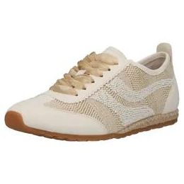 Sneaker Dolce Vita "Dolce Vita Sneaker Leder", Herren, Gr. 38, natural, Leder, Schuhe Sneaker