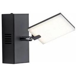 NEUHAUS PURE LED Wandleuchte "PURE Mira", schwarz pearl, 1, H: 8,5cm, 1 Stk., Leuchten, Dimmbar, CCT, Wippschalter, Fernbedienung, beweglich, LED Wandleuchte
