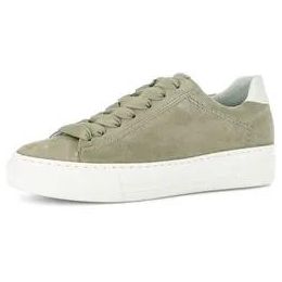 Plateausneaker Gabor, Herren, Gr. 37, schilf, creme, Kalbsleder, Ziegenveloursleder, Schuhe Plateausneaker, Freizeitschuh, Halbschuh, Schn&uuml;rschuh, Kontrastbesatz an der Ferse