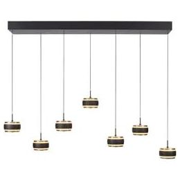 NEUHAUS PURE LED Pendelleuchte "PURE Falling Rings", schwarz pearl, diamond, 7, H: 80cm, 1 Stk., Leuchten, Comfort Lift, CCT, dimmbar, Fernbedienung, Timer, LED Pendelleuchte