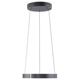 NEUHAUS PURE LED Pendelleuchte "PURE E-Clipse", mystic grau, 2, &Oslash; 50cm H: 40cm, 1 Stk., Leuchten, e-LIFT-Funktion, CCT, dimmbar &uuml;ber Fernbed&iacute;enung, LED Pendelleuchte