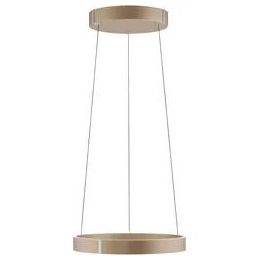 NEUHAUS PURE LED Pendelleuchte "PURE E-Clipse", bronzefarben, 2, &Oslash; 50cm H: 40cm, 1 Stk., Leuchten, e-LIFT-Funktion, CCT, dimmbar &uuml;ber Fernbed&iacute;enung, LED Pendelleuchte