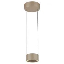 NEUHAUS PURE LED Pendelleuchte "PURE Clipse", bronzefarben, 2, &Oslash; 15cm H: 40cm, 1 Stk., Leuchten, Comfort Lift, CCT, dimmbar &uuml;ber Fernbedienung, LED Pendelleuchte