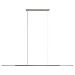 NEUHAUS PURE LED Pendelleuchte "PURE Surface", platinfarben, 1, H: 100cm, 1 Stk., Leuchten, Dimmf&auml;hig &uuml;ber separaten Dimmer, h&ouml;henverstellbar, LED Pendelleuchte