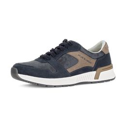 Pius Gabor Sneakers male Mixed colors size 6,5