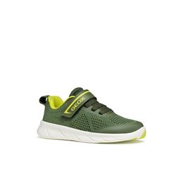 Geox Sneakers male Green size 25