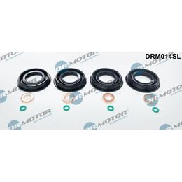 DR.MOTOR AUTOMOTIVE Dichtungssatz, Einspritzd&uuml;se DRM014SL f&uuml;r PEUGEOT FIAT CITRO&Euml;N FORD ROVER DS 6C1Q6K780AB 1372494 9662222180